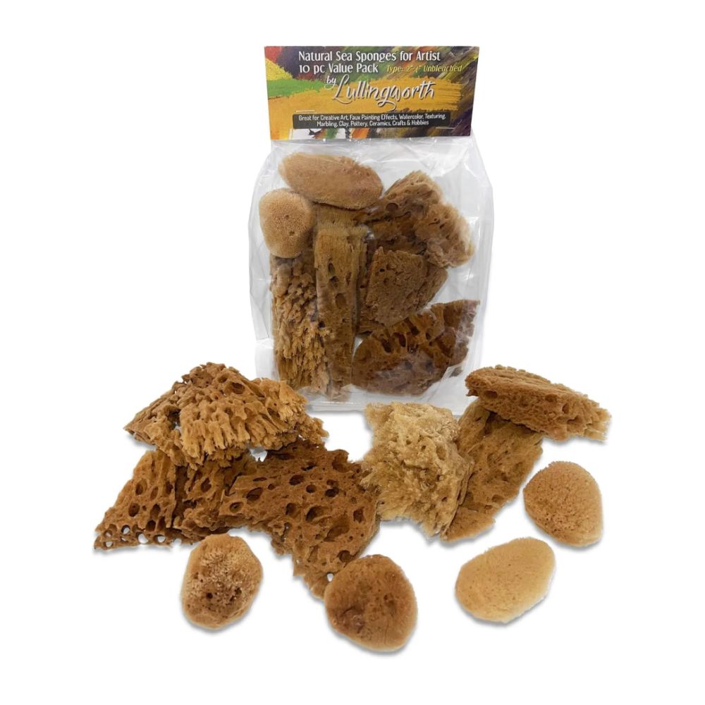 Natural Sea & Synthetic Sponges - Assorted Sizes 10pc Value Pack ...